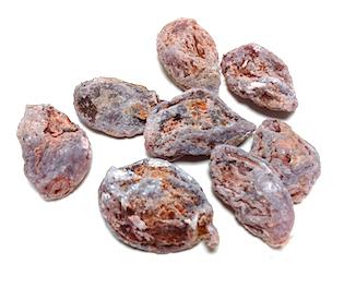 Seedless Cream Ume (PROP65) | Wholesale Unlimited Inc.