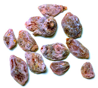 Baby Seedless Ume (PROP65) | Wholesale Unlimited Inc.